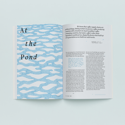 Standart - Independent Coffee Magazine